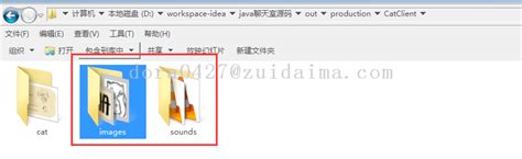 Java Swing开发大猫聊天室源码，简单易懂，适合java Swing初学者 代码 最代码