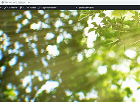 Video In Revolution Slider Does Not Work On Firefox Or Chrome Support