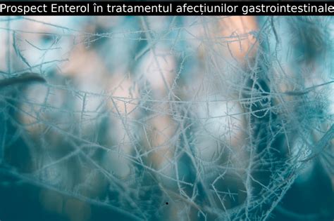 Prospect Enterol în Tratamentul Afecțiunilor Gastrointestinale Recomandari Medicale