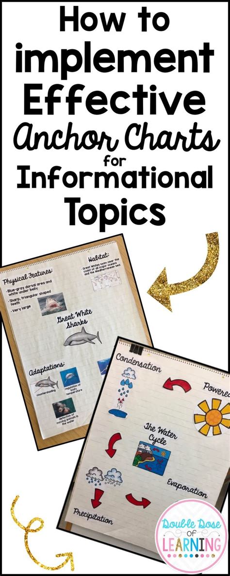 Best First Grade Science Images On Pinterest