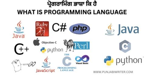 PROGRAMMING LANGUAGE ਪਰਗਰਮਗ ਭਸ FOR BEGINNERS TYPE Punjabi Writer
