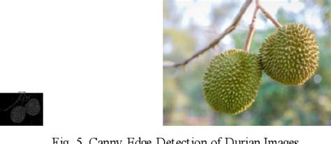 Figure 5 From Classification Of Durian Fruits Based On Ripening With Machine Learning Techniques
