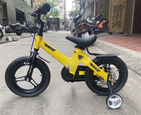 Xe đạp Trẻ Em Vicky Vk Giá Rẻ Chính Hãng