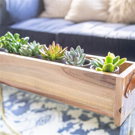 Tabletop Planter Etsy