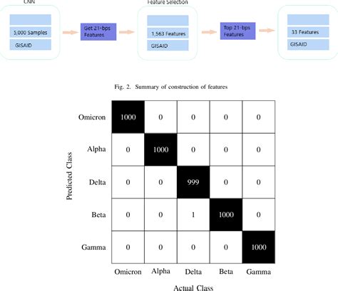 Figure 3 From Detection Of Sars Cov 2 Main Variants Of Concerns Using Deep Learning Semantic