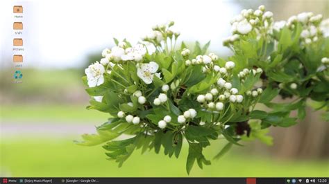 Evolve Os Features A Beautiful Desktop Environment With A Gnome 2 Vibe Softpedia