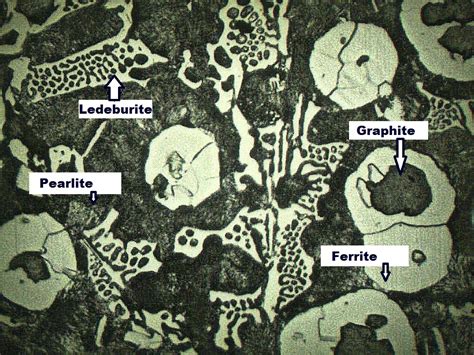 Metallurgical And Material Science 🔬 Spheroidized Cast Iron