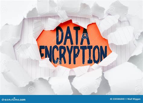Conceptual Caption Data Encryption Conceptual Photo Symmetrickey Algorithm For The Encrypting