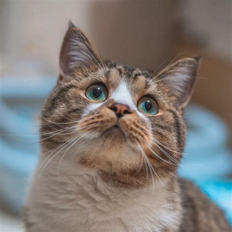 Kana Kana Threads Say More