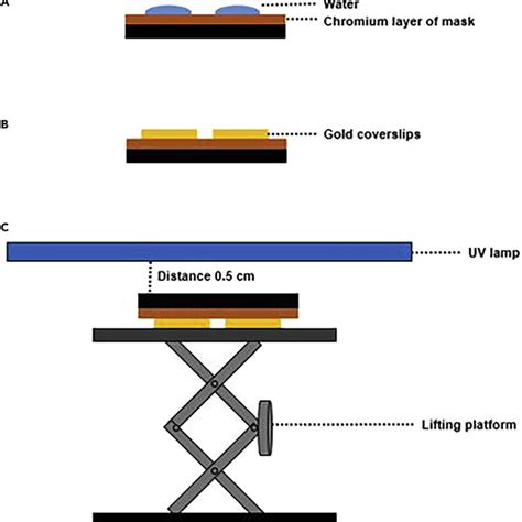 Mask Design In The Klayout Software Download Scientific Diagram