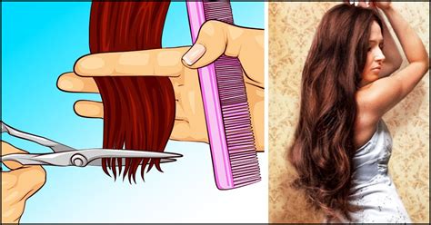 The Importance Of Trimming Split Ends