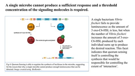 Quorum Sensing In Microbial Species Bacterial Communication Pdf