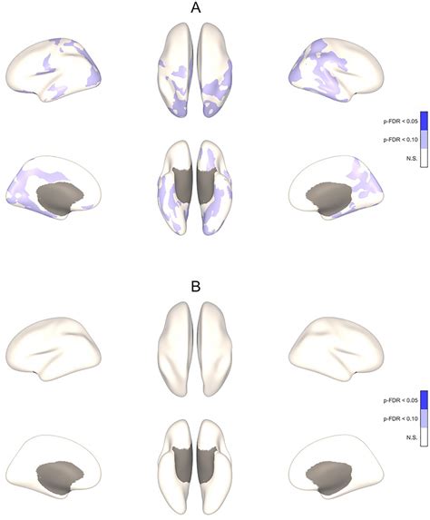 3 D Maps Showing Correlation Between Screenq Scores And Cortical Download Scientific Diagram