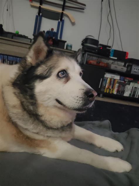 Goodbye Mamas Thank You For The Memories Rhusky