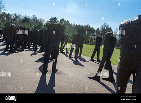 Sculptures Complex Nierozpoznani The Unrecognised Art Installation By