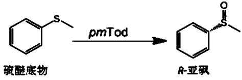 Monooxygenase Complex And Application Thereof In Chiral Sulfoxide Synthesis Eureka Patsnap