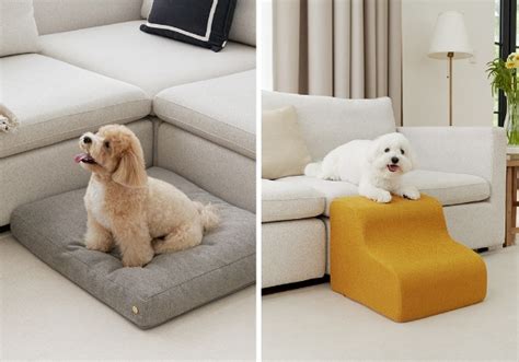 펫 브랜드 리카리카 펫 방석과 강아지 계단 출시