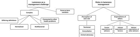 Thematic Map Outlining The Themes And Subthemes Of Thematic Analysis