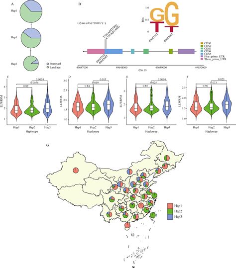 View Image In Article