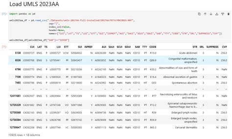 issue with medcat umls full model medcat cogstack medcat