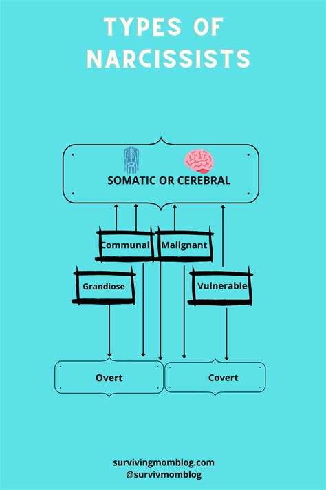 Click here to learn about the different narcissistic types and how they differ from one another ...