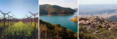 7 Napa Hiking Trails You Need To Explore