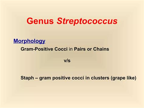 Streptococci Ppt