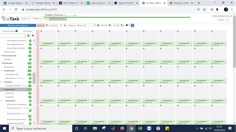 No Visible Vignette On Manual Classification Screen · Issue 402 · Ecotaxaecotaxafront · Github
