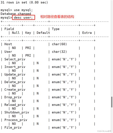 MySQL数据库基本操作和管理 如何使用mysql数据库对数据进行管理操作 CSDN博客