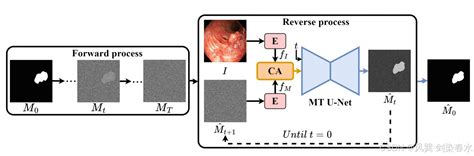 【技术追踪】用于医学图像分割的 Diffusion Transformer U Net（miccai 2023）