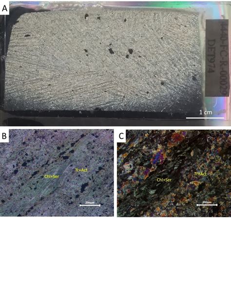 A Thin Section Showing Spinifex Texture Under Crossed Polarized Light