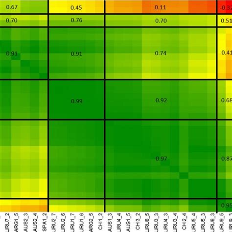 Matrix Of Pair Wise Genetic Correlations With Clustering Between Each