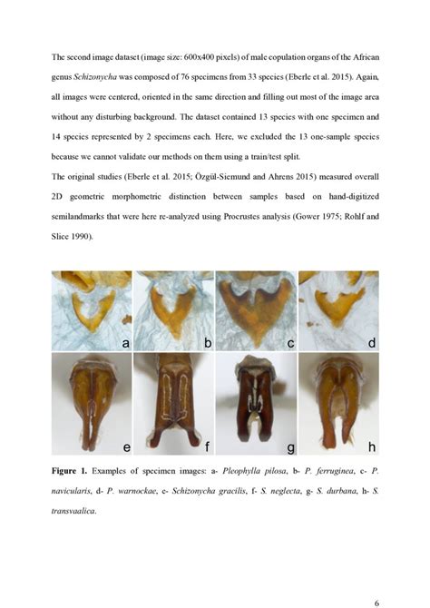 image based automated species identification can virtual data