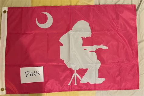 2ft X 3ft Mikey Flag Pink Etsy