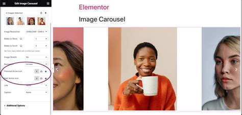 How To Use The Image Carousel Widget Elementor