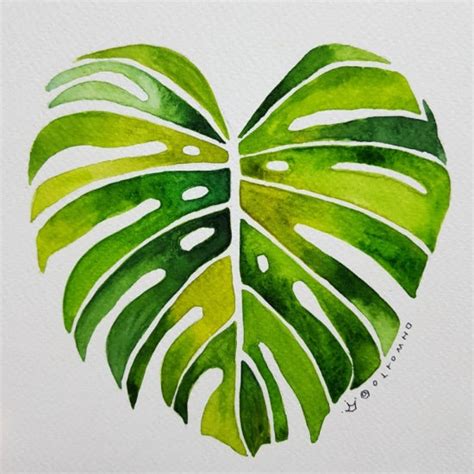 수채화 몬스테라수채화일러스트군산캘리그라피 수채캘리그라피군산취미미술 네이버 블로그