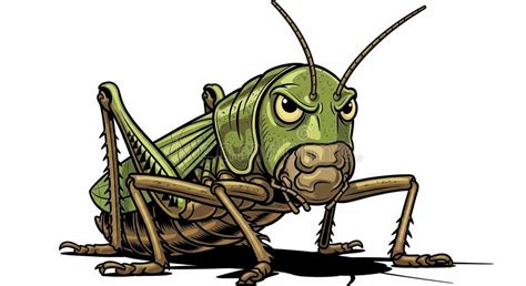Aggressive Green Grasshopper Insect With Angry Eyes Front View