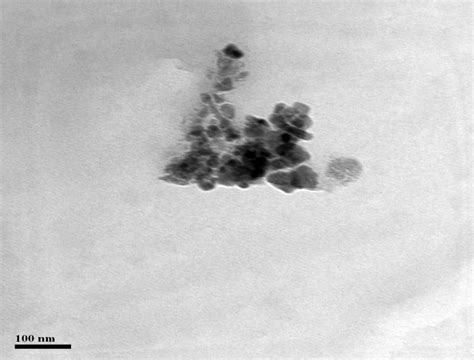 Tem Of Pbs Nanoparticles Download Scientific Diagram