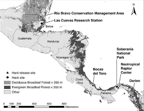 Map Of Potential Harpy Eagle Habitat Evergreen And Deciduous Broadleaf