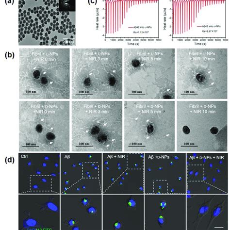 A Tem Image And Selected Area Electron Diffraction Pattern Of Chiral Download Scientific