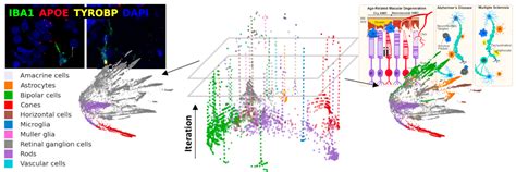 Computational Biology Neuroimmunology Distasio Lab