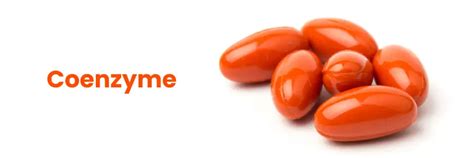 Coenzyme Q10 Benefits Uses Risks And Best Supplement