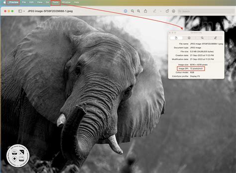 DPI Converter Archives EXIF Viewer By Fluntro