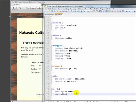 Css Table Style Youtube