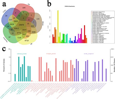 Functional Annotation Of The O Brevibarba Full Length Transcriptome A