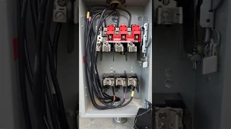 Powerline Disconnects At Alannah Macquarie Blog