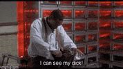 Sit On My Cock S Find And Share On Giphy