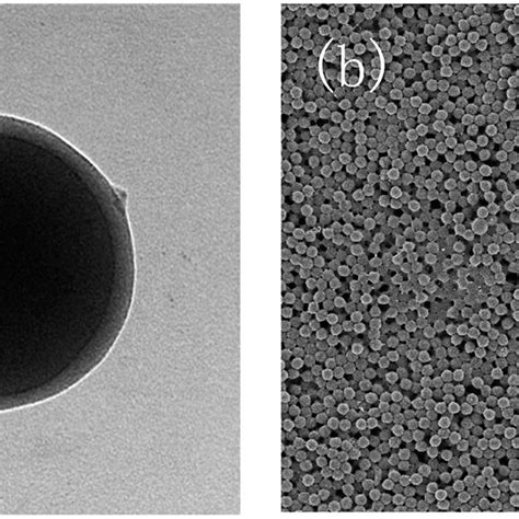 Pbmg Latex A Tem Core Shell Structure B Sem Particle Distribution Download Scientific Diagram
