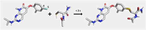 cgenff for covalent ligands — silcsbio user guide