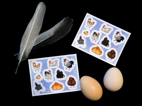 Silly Chook Sticker Set Etsy